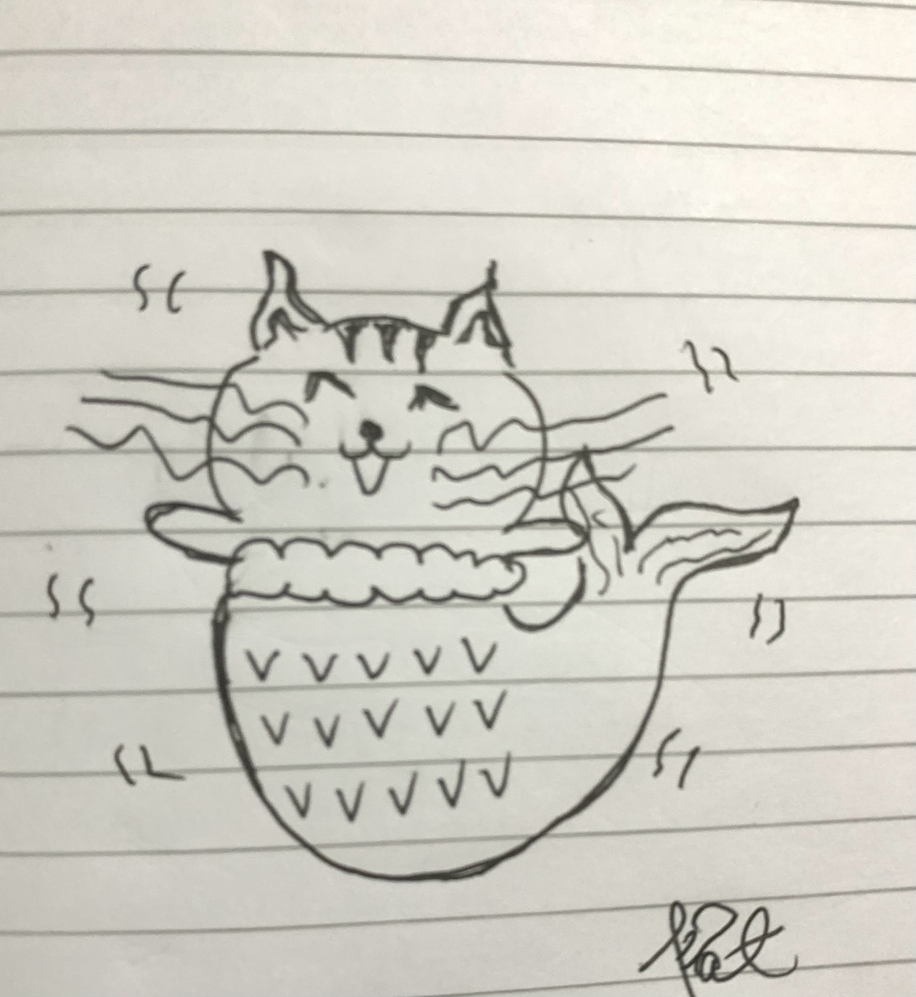 Joke of the day – Cat yoga | New Bloggy Cat [NBC]